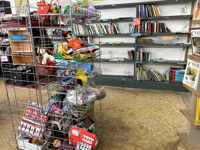 Treasure hunters, rejoice! These wire baskets hold everything from stuffed animals to kitchen gadgets, each waiting for their second chance at usefulness.