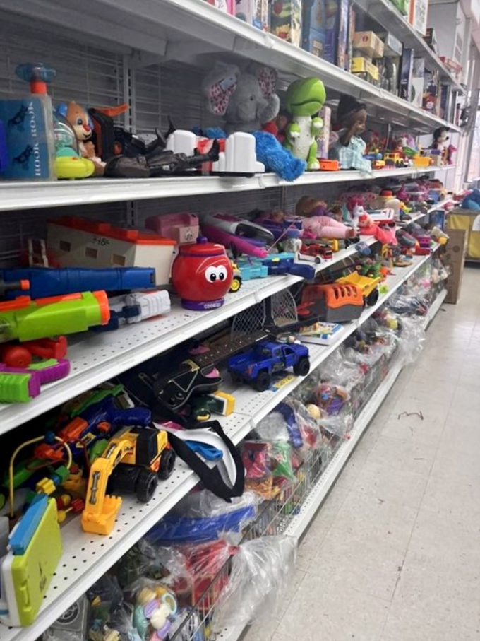 Childhood nostalgia by the shelf-full. One person's outgrown toys become another's time machine to simpler days of plastic joy.