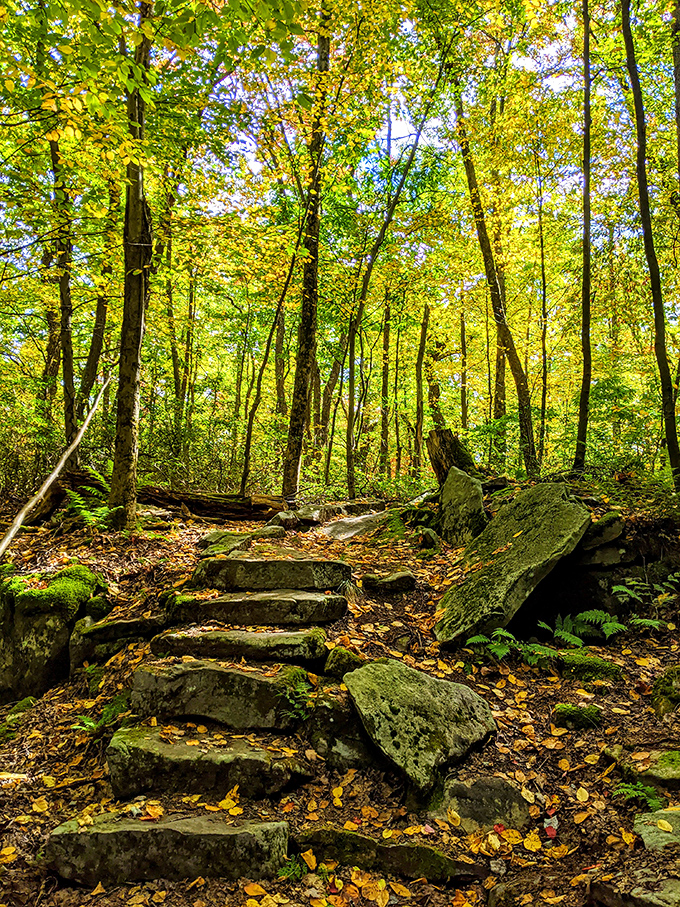 Stone steps ascending through a golden forest &ndash; like a stairway to heaven, but with better foliage and fewer guitar solos.