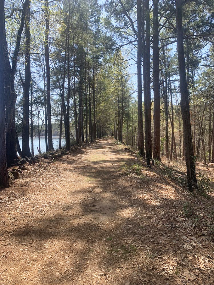 "I'll take 'Paths Less Traveled' for $500, Alex." This sun-dappled trail practically begs you to put away your phone and just wander.