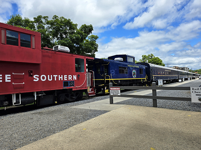 The vintage locomotives&mdash;sporting classic red and blue livery&mdash;stand ready for adventure, like time machines waiting to transport you to a simpler era.