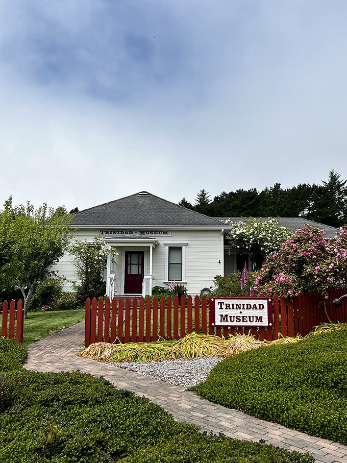 The Trinidad Museum might be small, but like the best family recipes, it packs generations of local flavor into every carefully curated exhibit.