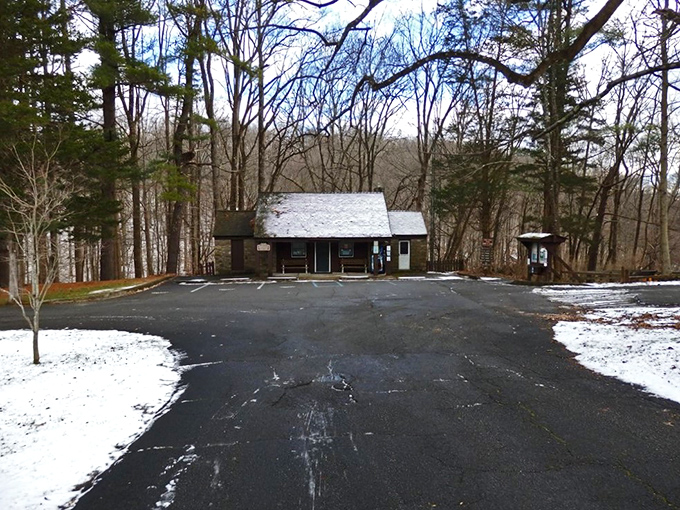 Winter transforms the visitor center into a snow-dusted cabin straight out of a Robert Frost poem. New Jersey's wilderness at its most serene.