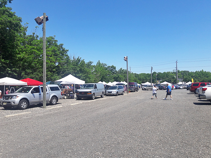 The modern-day treasure map: rows of white tents stretching toward the horizon, each one a potential X marking the spot.