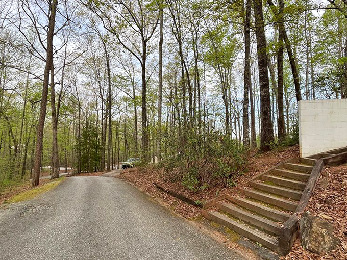 The road less traveled actually has proper signage here. These rustic steps lead to adventures that your Instagram followers will envy.