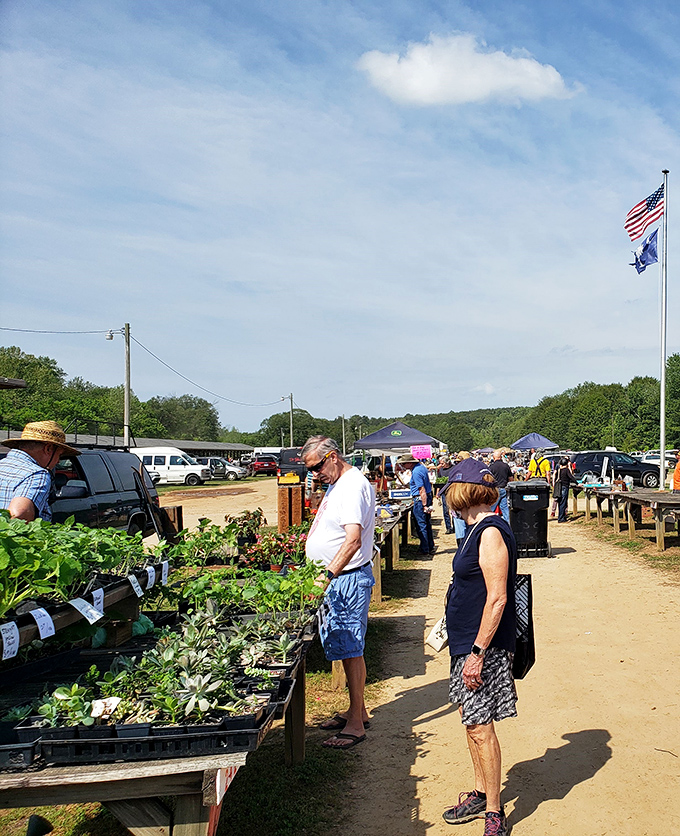 Green thumbs unite! Plant enthusiasts browse potted treasures while the American flag stands proud, reminding us that bargain hunting is practically a national pastime.