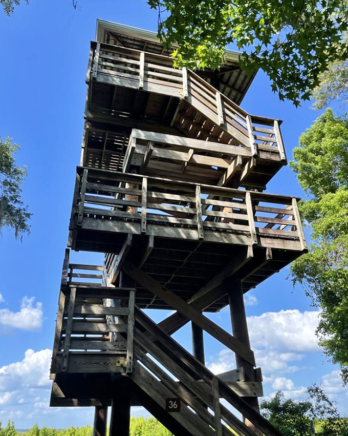 This observation tower isn't just stairs to nowhere&mdash;it's your ticket to panoramic prairie views that'll make your Instagram followers think you've left Florida entirely.