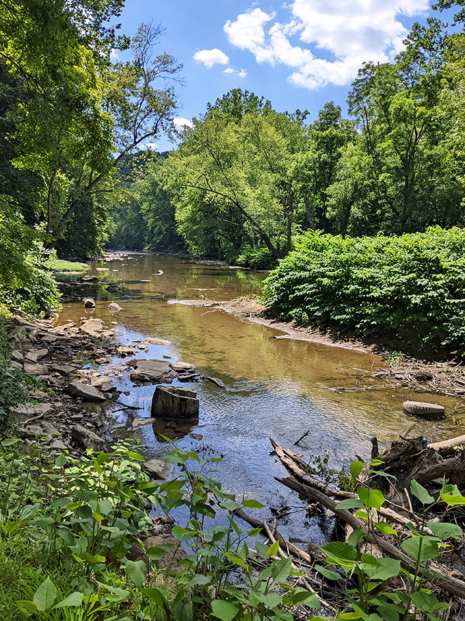 Nature's original waterpark: Little Beaver Creek meanders through the forest, creating peaceful pools and gentle rapids perfect for summer wading adventures.