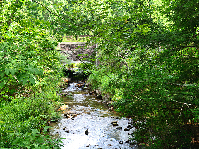 Stone bridges and babbling brooks—nature's version of architectural harmony. Nescopeck's waterways have been perfecting their flow for millennia.