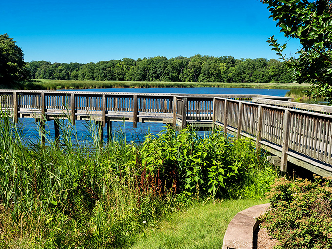 Nature's theater-in-the-round at Wetlands Overlook Park. The best show in town doesn't require tickets&mdash;just patience and binoculars.
