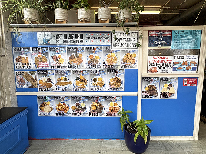 The photo menu board&mdash;a visual feast before the actual feast&mdash;showcases golden-fried treasures that make decision-making deliciously difficult.