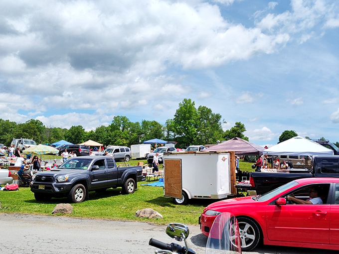 Under perfect Pocono skies, weekend warriors navigate a sea of canopies and vehicles, each white tent a potential goldmine of unexpected finds.