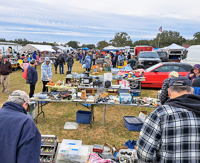 Treasure hunters navigate the dusty pathways between tables laden with possibilities, each one a potential story waiting to be taken home.