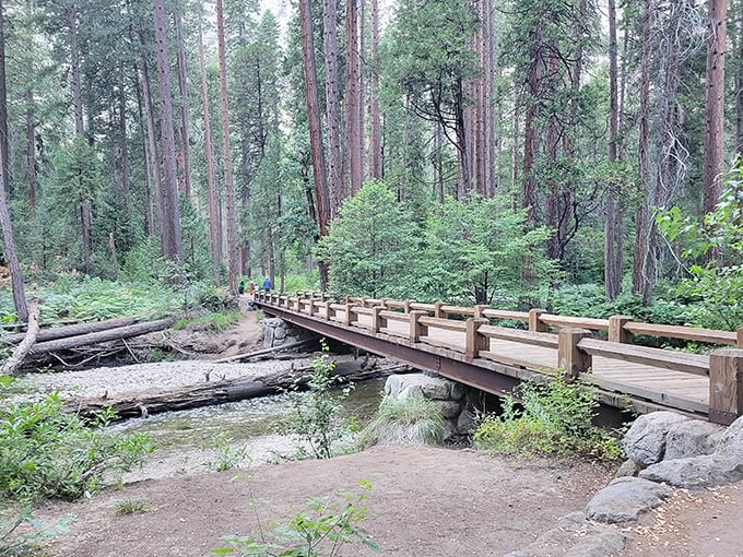 This wooden bridge isn't just crossing a stream&mdash;it's your gateway to wonderland. Narnia's got nothing on Yosemite.