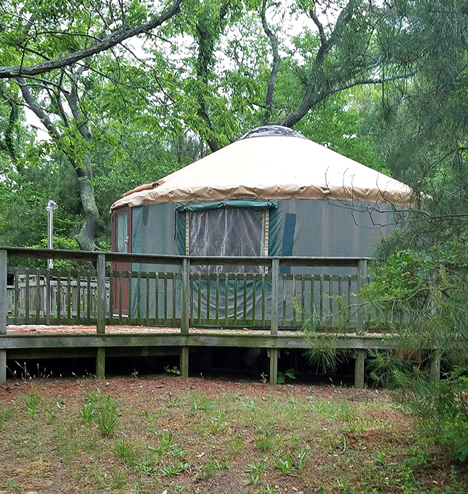 Glamping goals achieved! These yurts offer all the adventure of camping with none of the "why is there a rock under my spine?" moments.