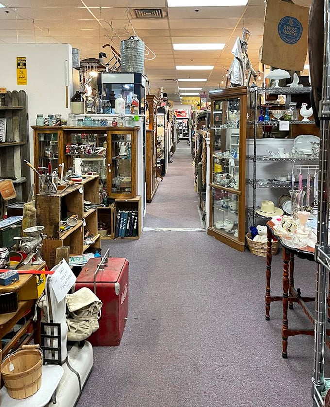 Aisles that stretch toward infinity, each glass cabinet a portal to another era. Your FitBit will thank you for the steps; your wallet might not.