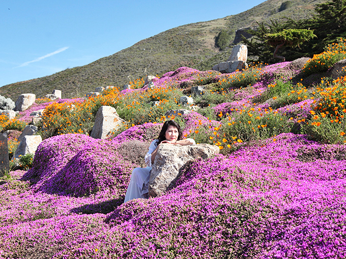 Mother Nature's color palette gone wild. When wildflowers carpet the hillsides, even professional photographers struggle to capture the magic.