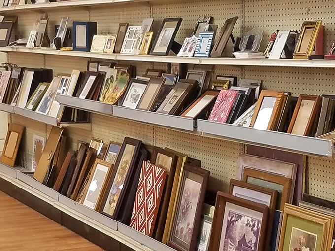 A gallery of forgotten memories awaits new walls &ndash; one person's discard becomes another's conversation piece.