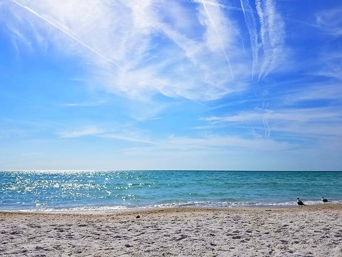 The ocean sparkles like it's auditioning for a jewelry commercial. On days like this, even the seagulls seem to slow down just to appreciate the view.