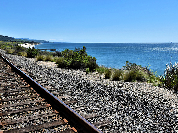 Where railroad tracks and ocean views collide. This stretch of California coastline offers the kind of scenery that makes smartphone cameras work overtime.