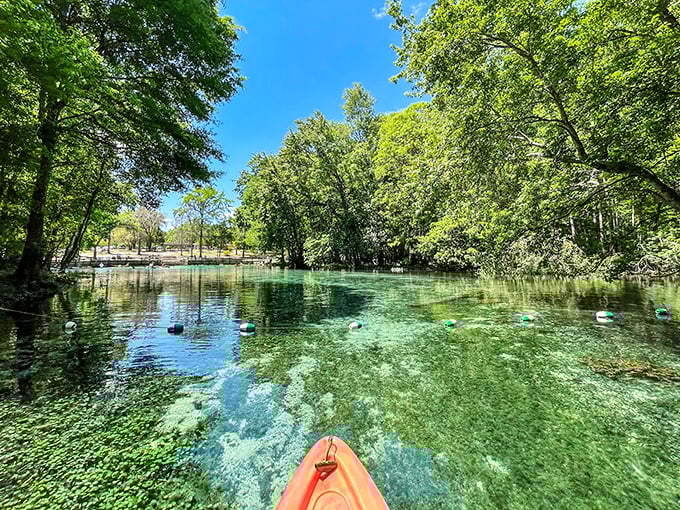 Kayaking here is like paddling through liquid sapphire. The rope markers separate the "I'm relaxing" zone from the "I'm exploring" zone.