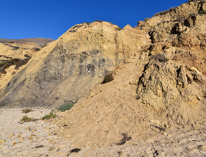 Nature's own sculpture garden—these golden bluffs have been perfecting their dramatic poses for millennia, no Instagram filters required.