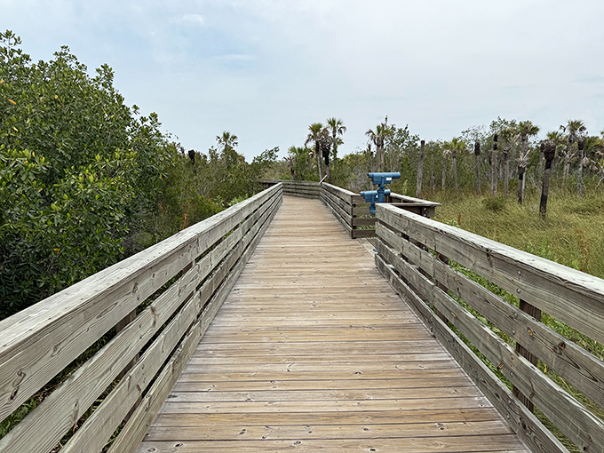 The elevated walkway stretches endlessly ahead, promising adventure without requiring you to become a swamp thing yourself.