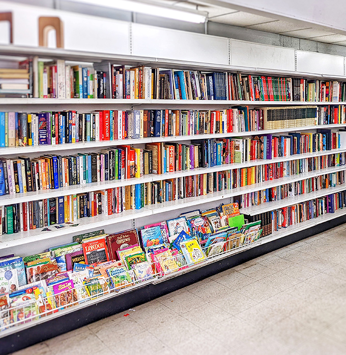 Literary treasures await bibliophiles at prices that make Amazon blush. Your next favorite read is hiding somewhere in these well-stocked shelves.