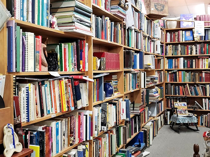Floor-to-ceiling bookshelves create literary labyrinths that would make any bibliophile weak in the knees.