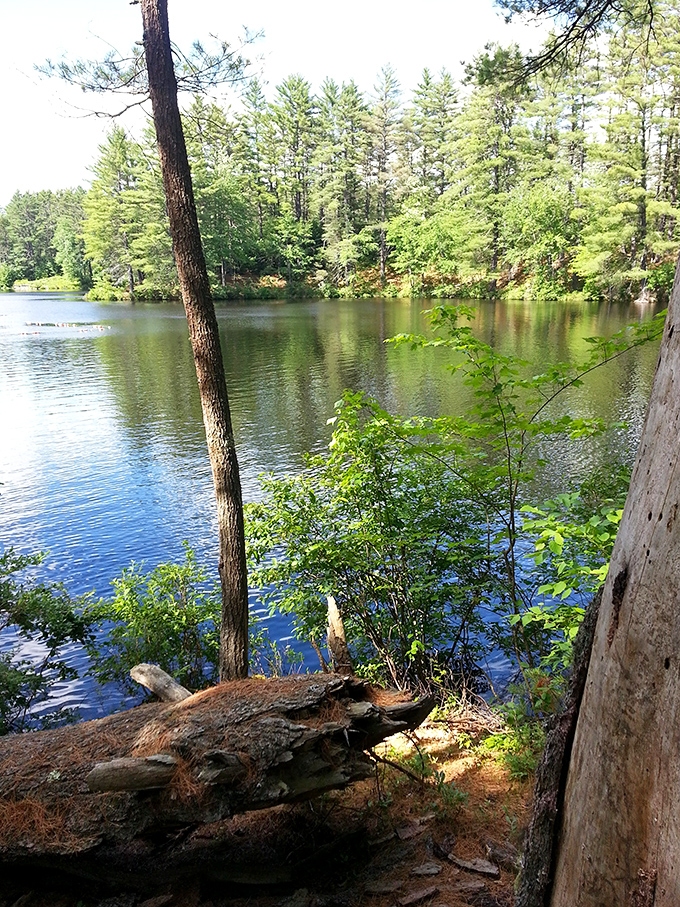 The glassy surface of Bear Brook's pond mirrors the surrounding pines with such precision, you'll wonder which version of the forest is the real one.