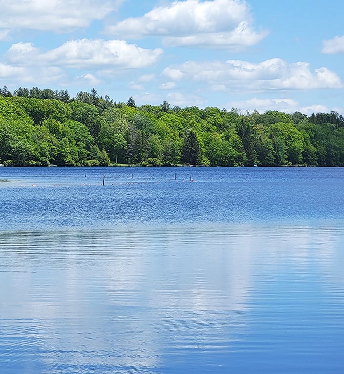 Mirror, mirror on the lake – the perfect stillness creates reflections so clear you might mistake the sky for having a twin.
