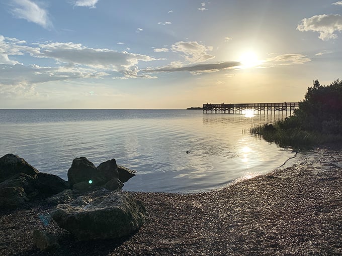 Mother Nature's infinity pool. The calm waters of Crystal River's hidden gem invite even the most hesitant swimmers to wade into that perfect blue.