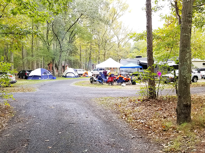 Camping at Allaire isn't roughing it&mdash;it's reconnecting. These happy campers have found the sweet spot between wilderness and Wi-Fi withdrawal.