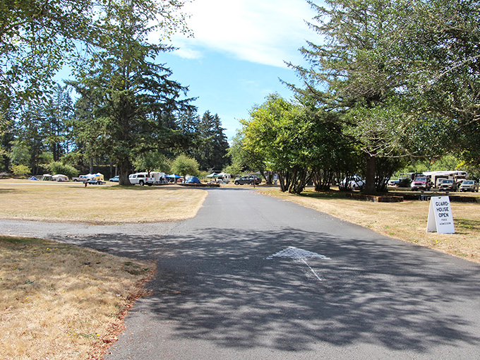 Camping nirvana where trees stand guard over your temporary home. The only traffic jam here is deciding which hiking trail to tackle first.