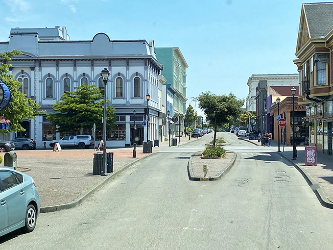 Blue skies frame Ferndale's downtown, where Victorian architecture and modern life coexist in a delightful time-travel experience without the jetlag.