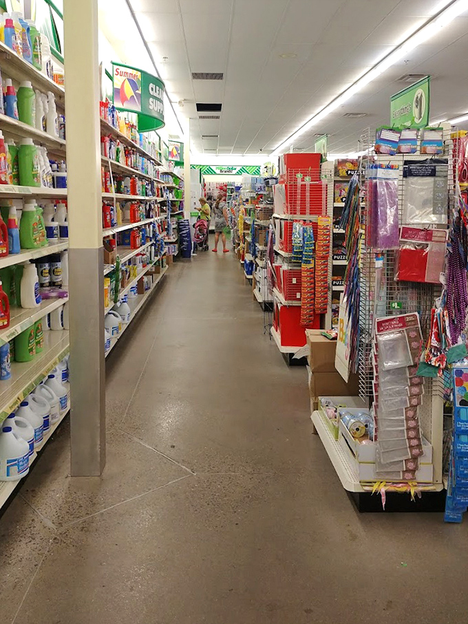 Aisles wide enough for cart choreography showcase an impressive array of cleaning supplies that would make any neat freak swoon.
