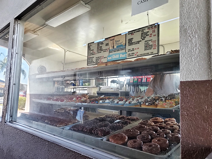 Behind glass, donut paradise awaits. Rows of glazed, frosted, and filled treasures tempt even the strongest-willed visitors.