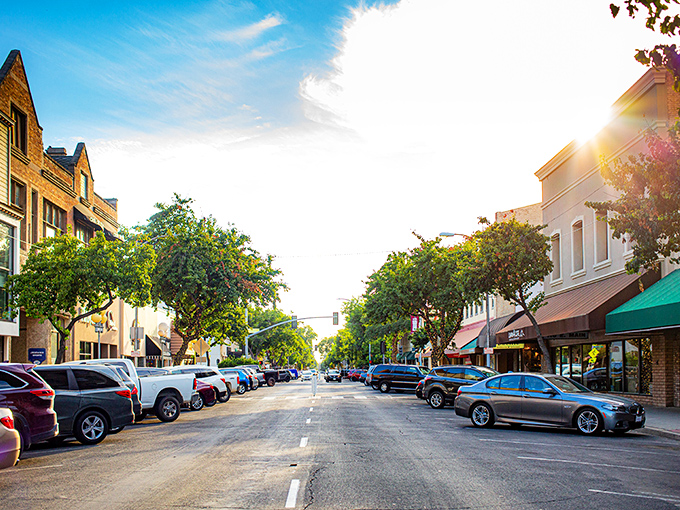 Tree-lined streets and angled parking that actually exists? Downtown Visalia feels like stepping into a Norman Rockwell painting with better coffee options. 