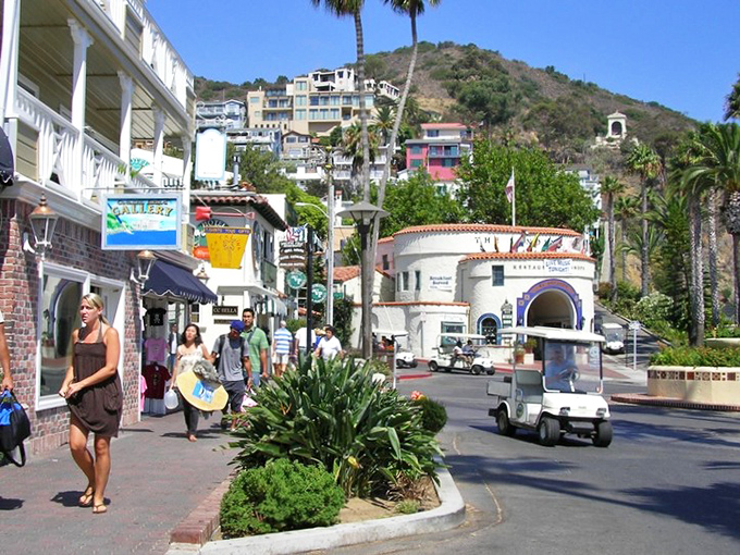 Main street life in Avalon: where golf carts rule the road, palm trees provide the shade, and nobody's in a hurry to be anywhere else.