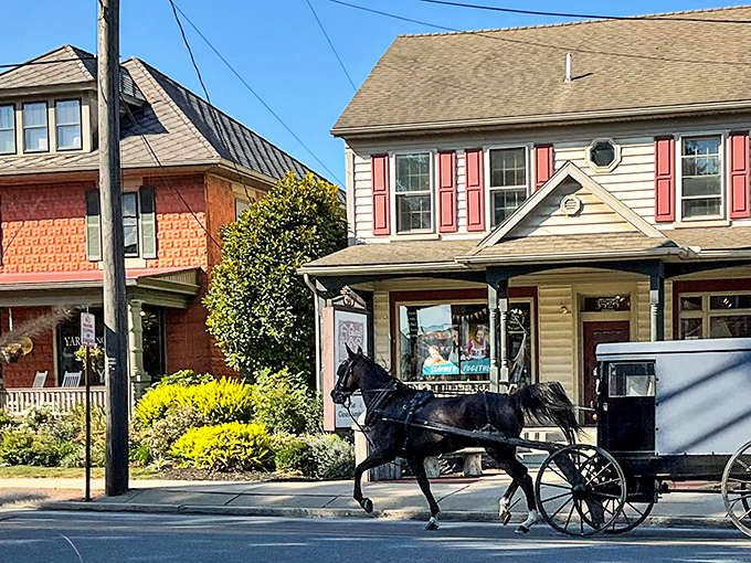 Modern meets traditional as an Amish buggy passes charming storefronts. The juxtaposition here isn't just photogenic – it's the everyday reality of Intercourse.