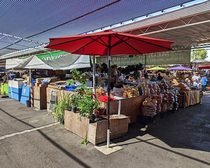 Under the protective shade of colorful canopies, vendors display their wares like museum curators of everyday life. Fresh produce meets practical needs in this open-air marketplace.