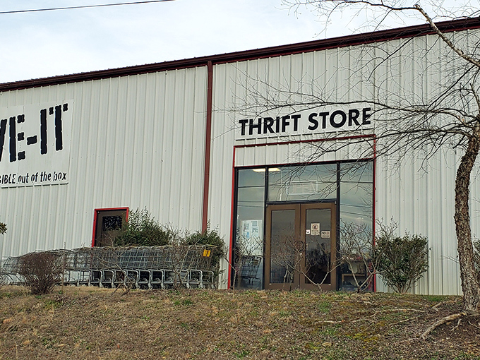 Shopping carts stand at attention outside LIVE-IT's entrance, like loyal steeds ready to carry your newfound treasures on the journey home.