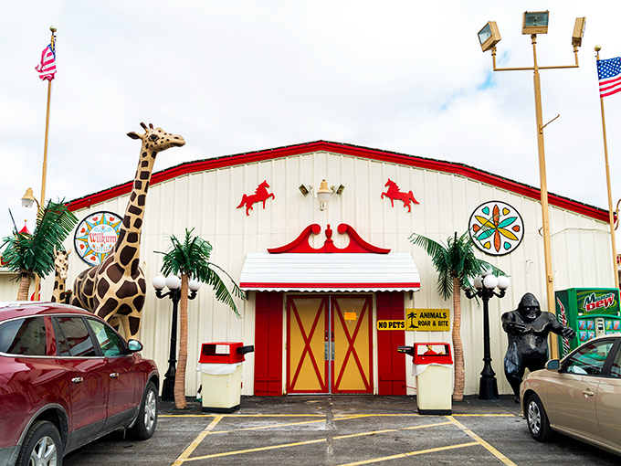 Where else can you be greeted by a giraffe and gorilla before hunting for bargains? Only at Traders World, where whimsy meets commerce.