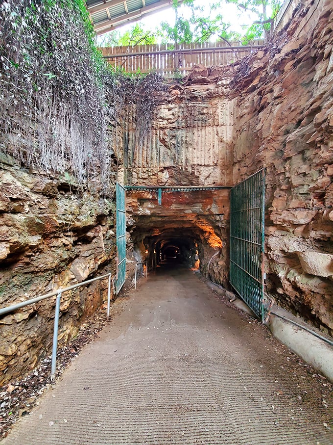 The gateway to another world. This man-made entrance cuts through millions of years of limestone, inviting visitors into Texas's subterranean wonderland.