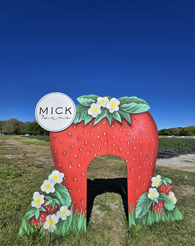 Not just a photo op—this strawberry archway is the agricultural equivalent of Disney's castle entrance. Prepare for berry bliss beyond.
