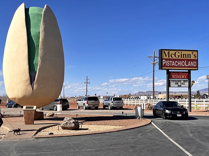 Desert drama at its finest: The giant pistachio creates the perfect silhouette against those famous New Mexico blue skies and mountain backdrop.