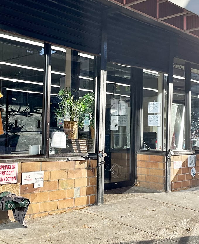 No velvet ropes or snooty salespeople here&mdash;just glass doors opening to a world where yesterday's luxuries become today's affordable finds.