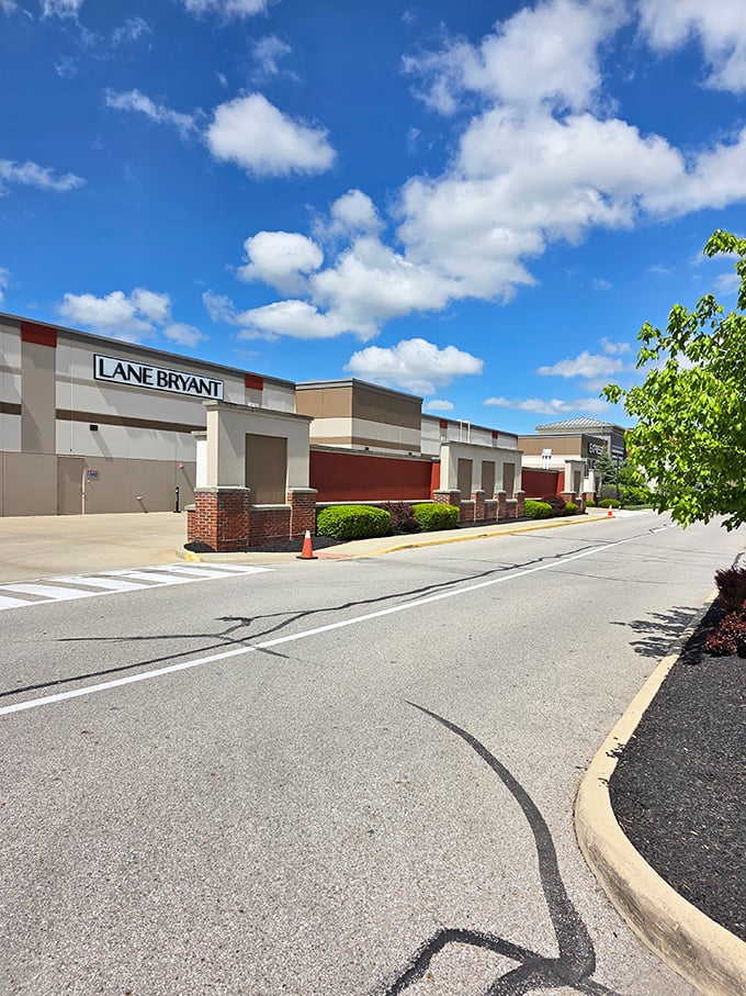 Lane Bryant stands ready for shoppers under cotton candy clouds. The expansive parking lot hints at the retail adventure that awaits inside.