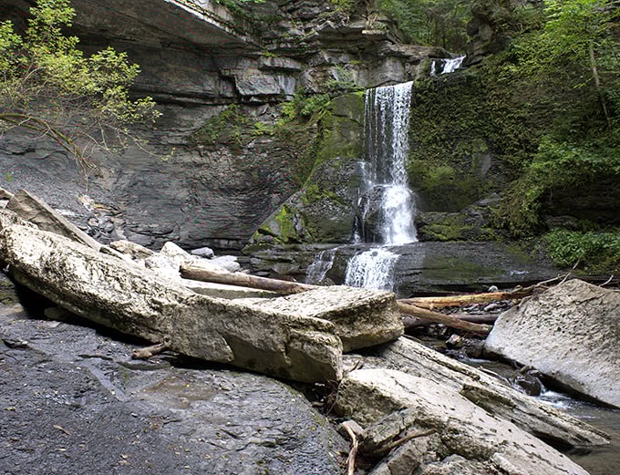Cowsheds Falls puts on a spectacular show, tumbling 37 feet over prehistoric rock layers. Mother Nature's version of Broadway, minus the ticket prices.