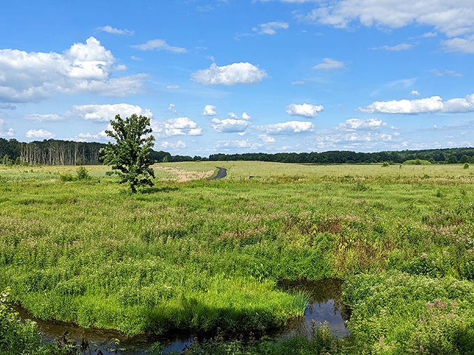 The prairie opens like nature's cathedral, where clouds cast playful shadows across grasslands that have witnessed centuries of Midwestern history.